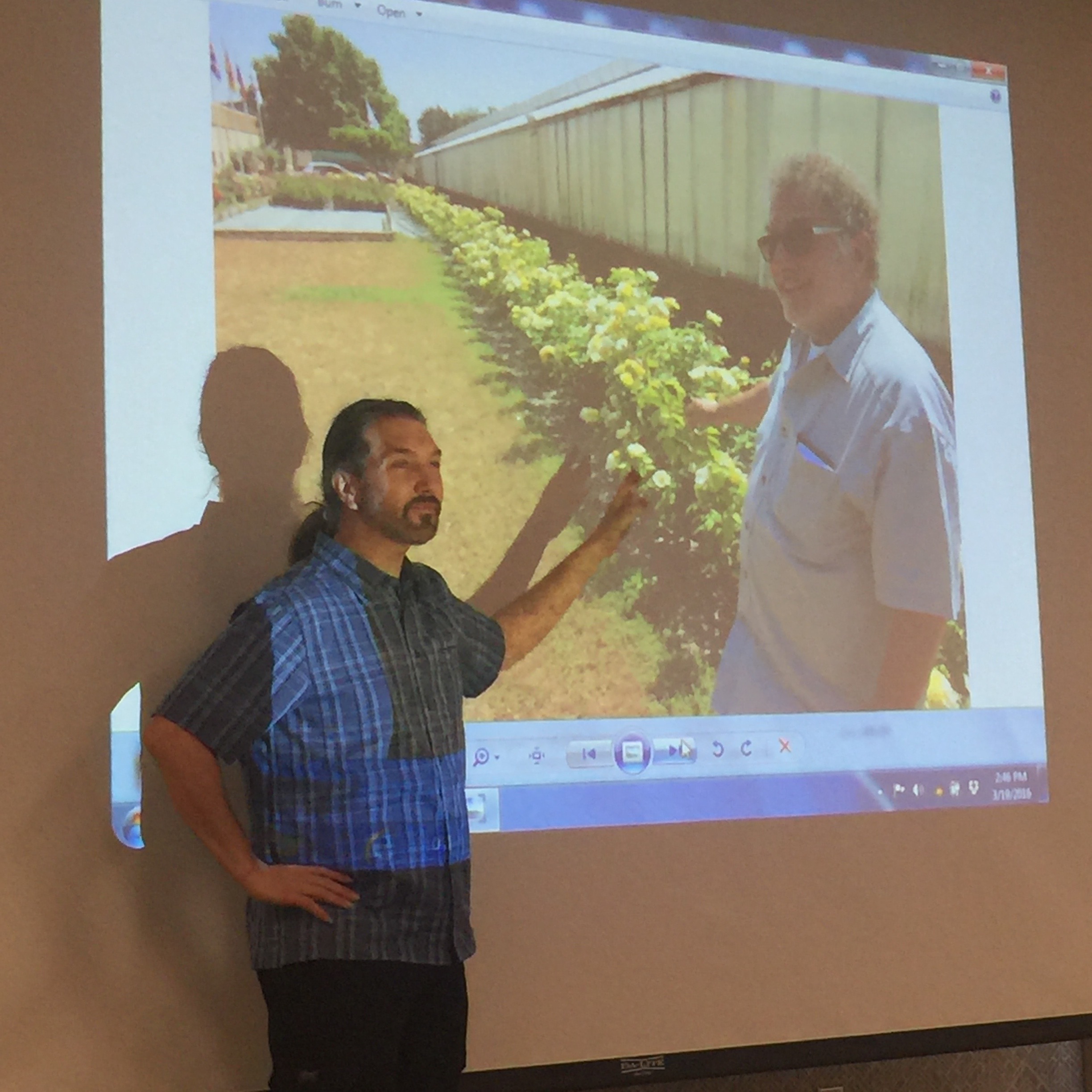 National Clean Plant Network – Roses | Indianapolis Rose Society