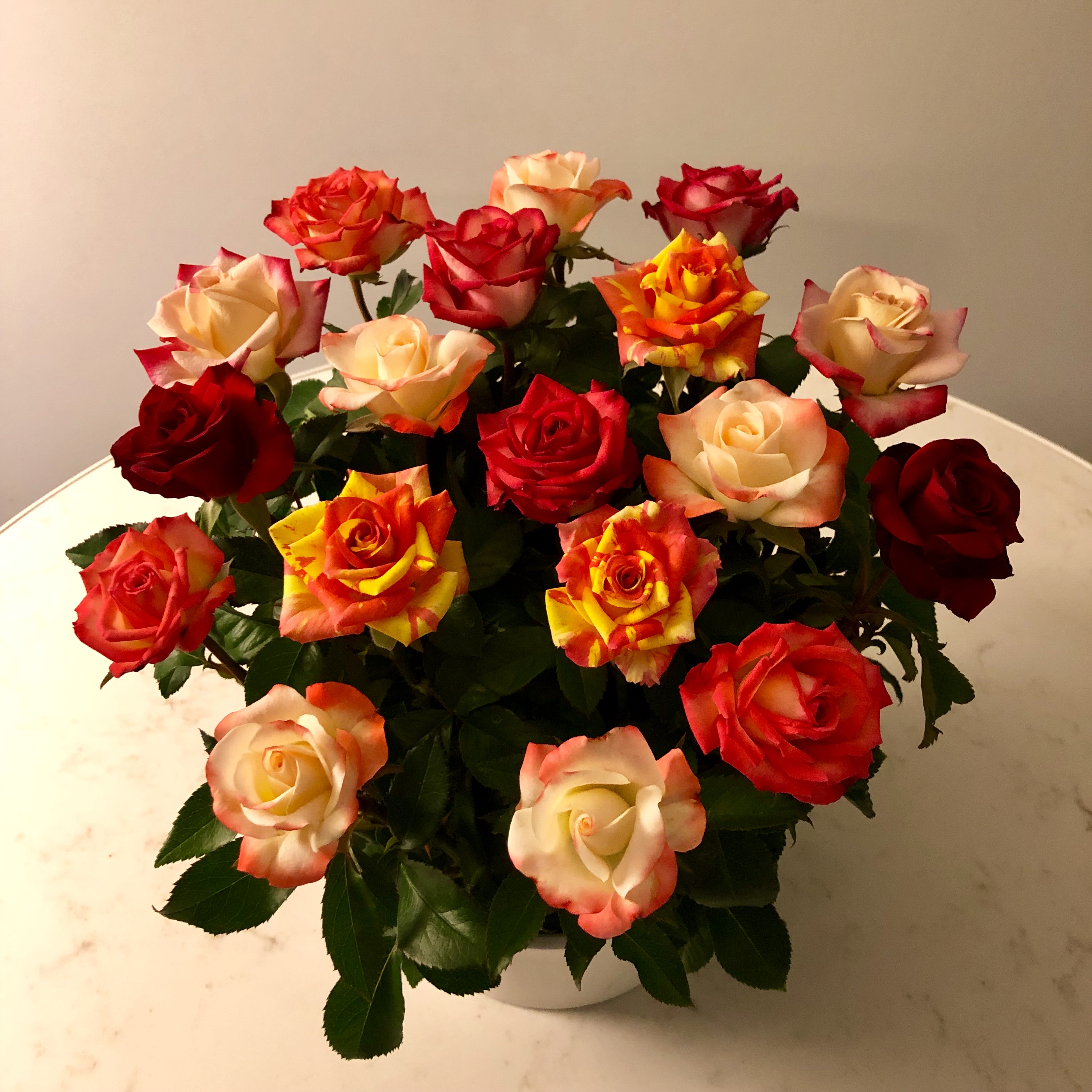 Exhibiting Winning Roses: What Does It Take by John Hefner ...