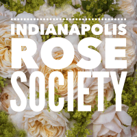 Indianapolis Rose Society | Growing roses and growing friends…