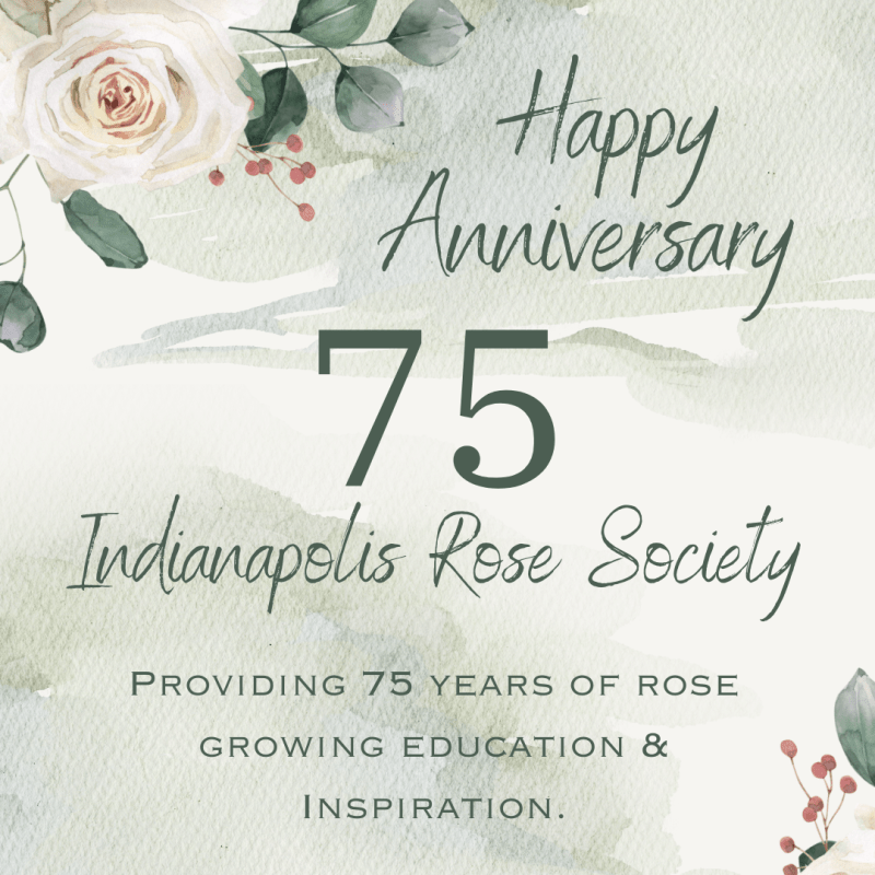 Indianapolis Rose Society | Growing roses and growing friends…