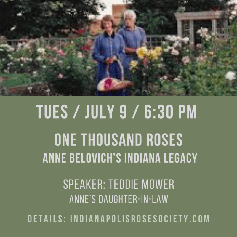 Indianapolis Rose Society | Growing roses and growing friends…