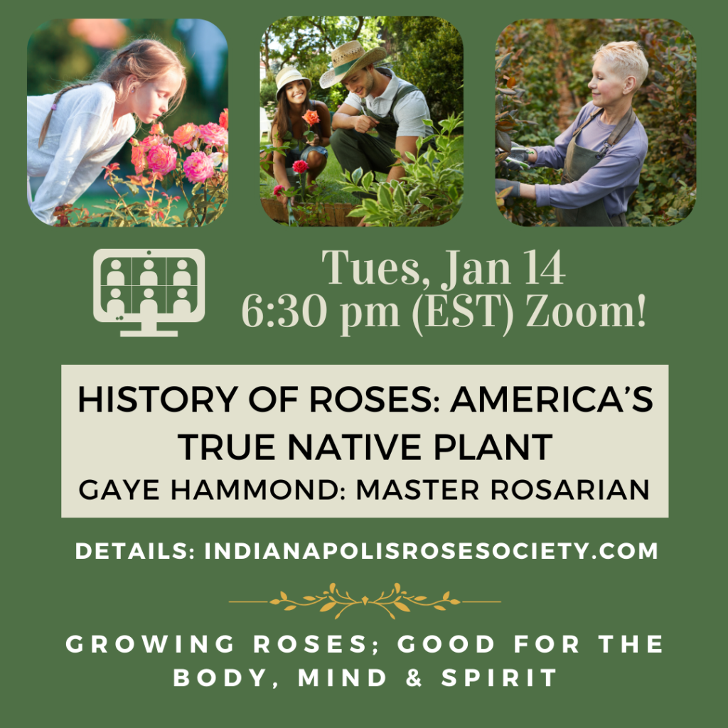Indianapolis Rose Society | Growing roses and growing friends…