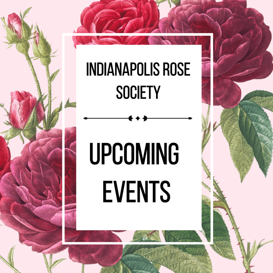 UPCOMING EVENTS | Indianapolis Rose Society